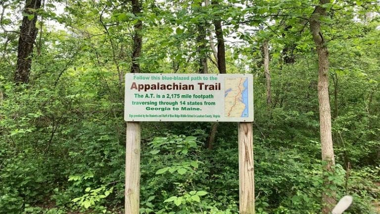 Bears Den Overlook: An Easy Hike to Scenic Views