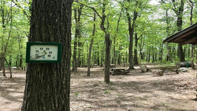 Bears Den Overlook: An Easy Hike to Scenic Views