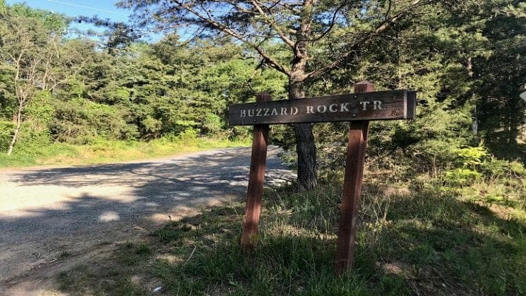 Hiking to Buzzard Rock Overlook in Front Royal | Go Hike Virginia