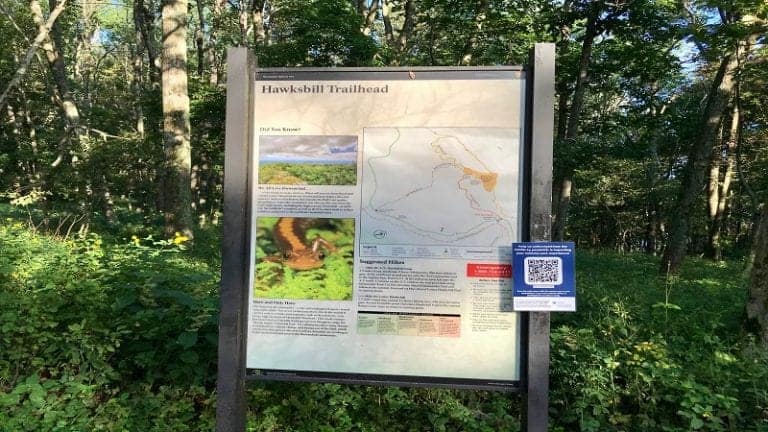 Hawksbill Summit: Hike to Sensational Views (3 Routes)