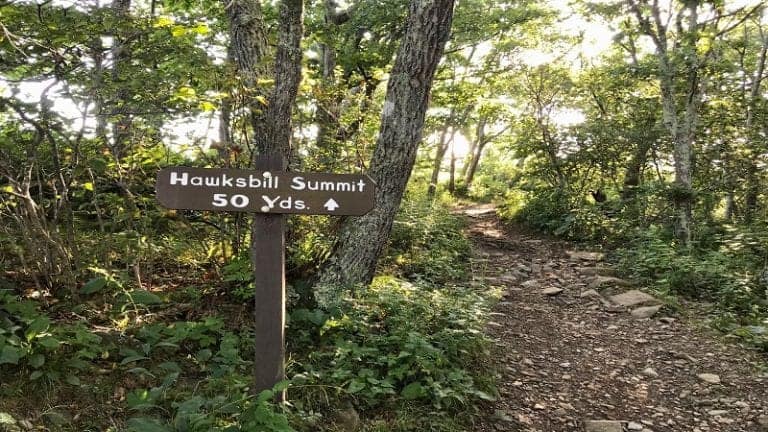 Hawksbill Summit: Hike to Sensational Views (3 Routes)