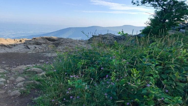 Hawksbill Summit: Hike to Sensational Views (3 Routes)