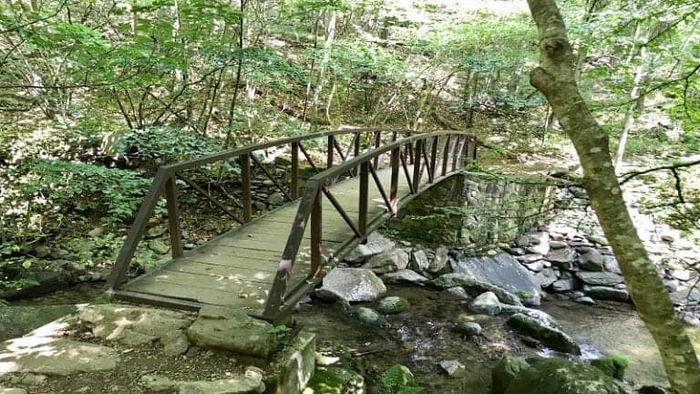Rose River Falls: A Waterfall Hike + Dreamy Swimming Hole