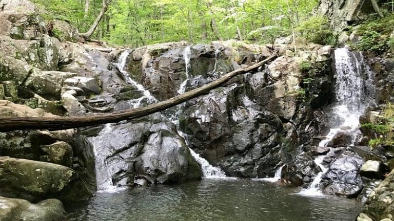 15 Fantastic Loop Hikes to Love Across Virginia