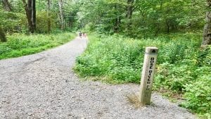 Rose River Falls: A Waterfall Hike + Dreamy Swimming Hole