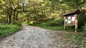 Great Channels of Virginia: Hike to a Sandstone Maze