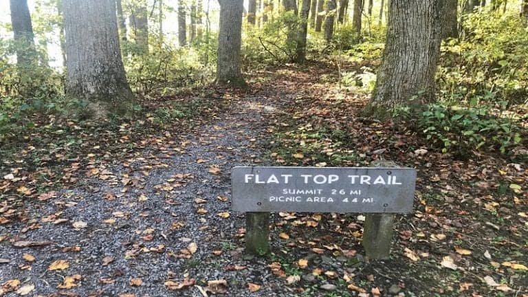 Flat Top: Hike an Iconic Peak in Virginia's Blue Ridge | Go Hike Virginia