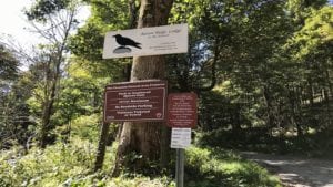 Great Channels of Virginia: Hike to a Sandstone Maze