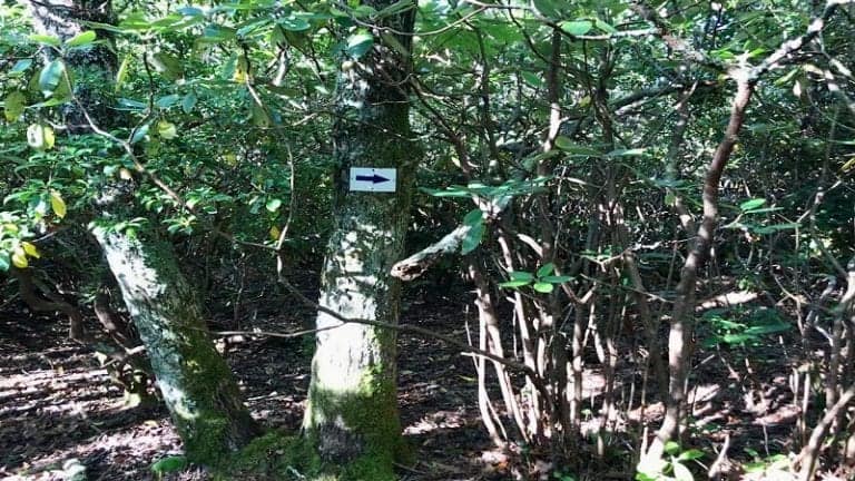 Great Channels of Virginia: Hike to a Sandstone Maze