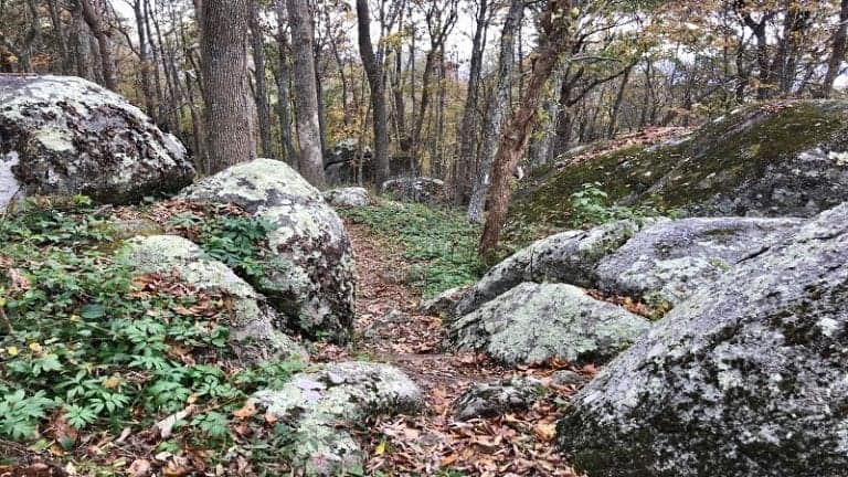 Harkening Hill: 3 Scenic Hiking Routes in Bedford