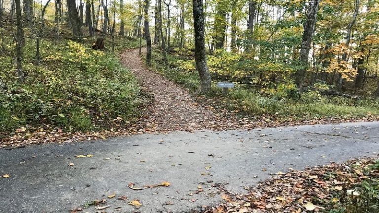 Sharp Top: A Must-Hike Trail to Epic Peak Views