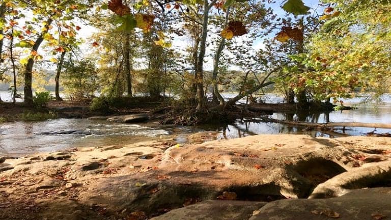 18 Spectacular Fall Foliage Hikes Across Virginia