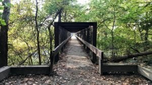 8 Great Hikes Near Richmond, Virginia