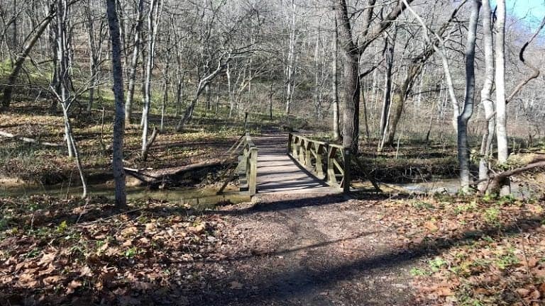 Falls Ridge Preserve: A Waterfall Hike with Caves, Cascades + Cliffs