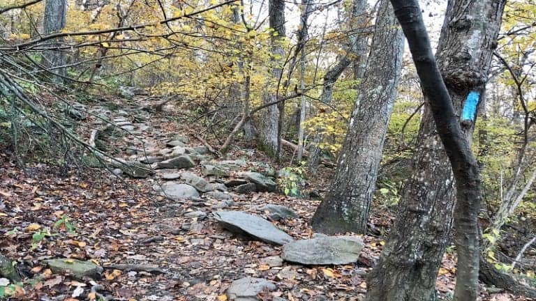 Humpback Rocks: A Blue Ridge Parkway Hiking Trail