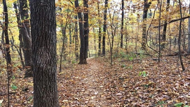 Humpback Rocks: A Blue Ridge Parkway Hiking Trail