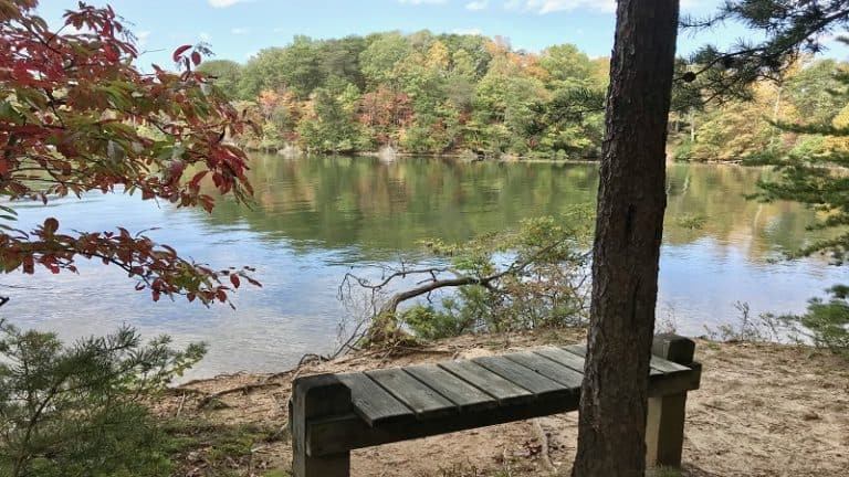 Smith Mountain Lake: 3 Easy Hikes with Stunning Views