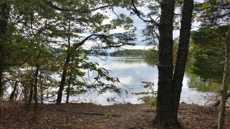 Smith Mountain Lake: 3 Easy Hikes with Stunning Views