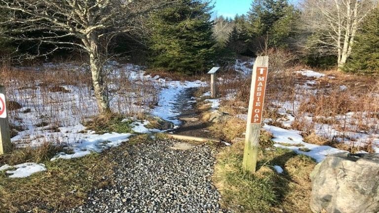 Hike to See Ponies at Grayson Highlands State Park