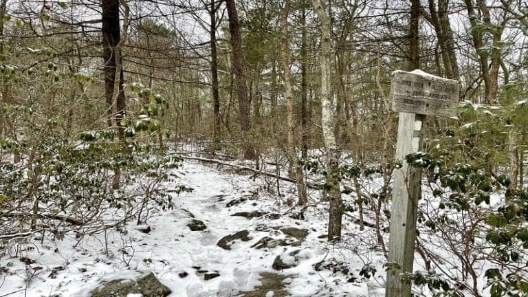 Emerald Pond: Hike to a Hidden Spring-Fed Swimming Hole