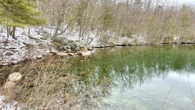 Emerald Pond: Hike to a Hidden Spring-Fed Swimming Hole