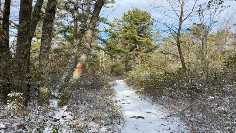 Emerald Pond: Hike to a Hidden Spring-Fed Swimming Hole