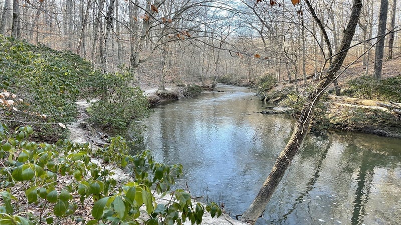 Prince William Forest Park: An Easy Loop Hike Along Quantico Creek