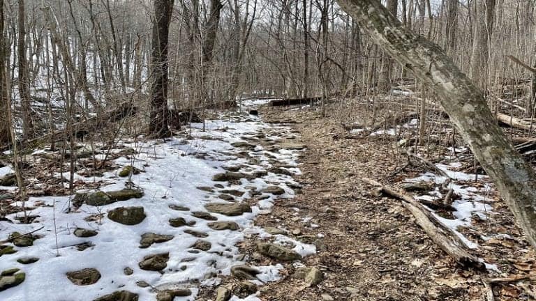 White Oak Canyon & Cedar Run: A Loop Hike with Oasis-Like Water Views