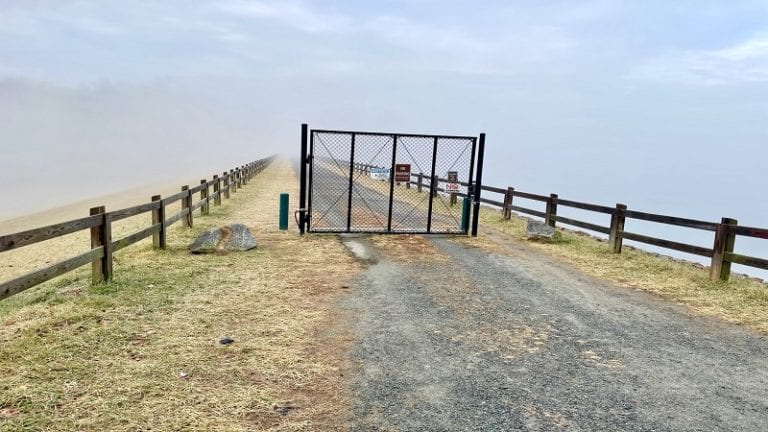 Ragged Mountain Reservoir: A Scenic Lake Hike in VA