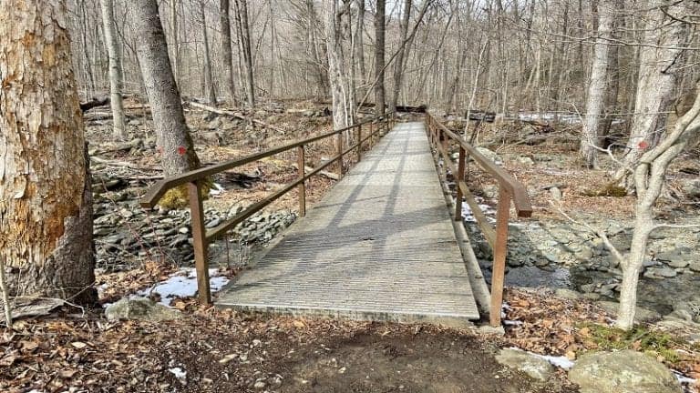 White Oak Canyon & Cedar Run: A Loop Hike with Oasis-Like Water Views