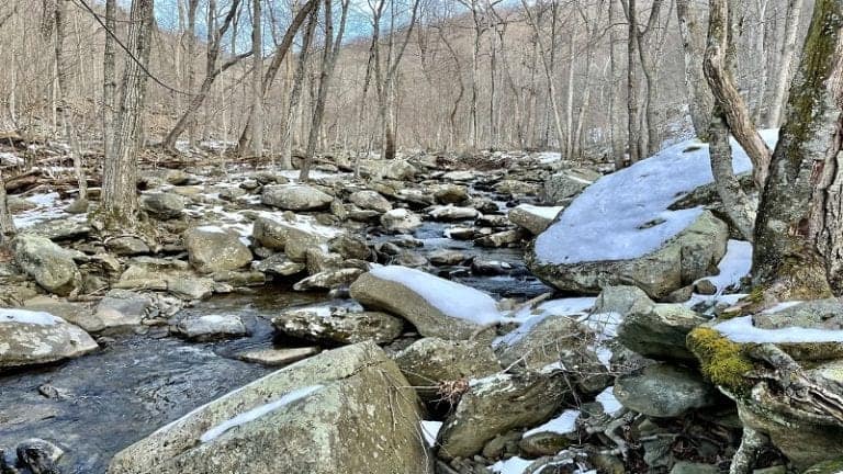 White Oak Canyon & Cedar Run: A Loop Hike with Oasis-Like Water Views