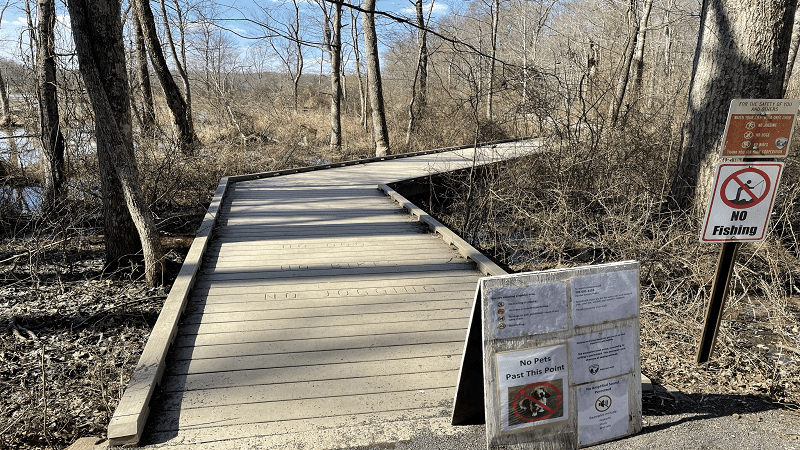 An Easy Wetlands Hike at Huntley Meadows Park in Alexandria
