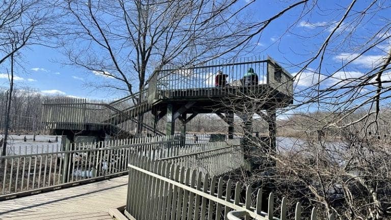 An Easy Wetlands Hike at Huntley Meadows Park in Alexandria