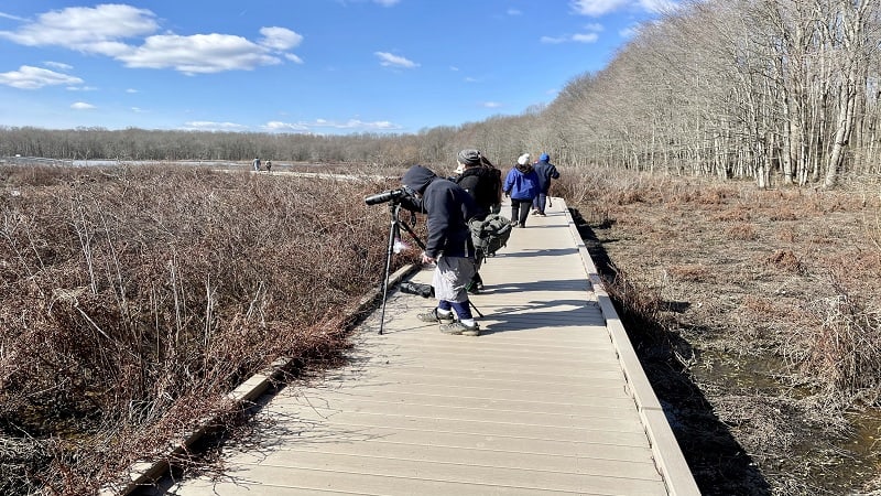 An Easy Wetlands Hike at Huntley Meadows Park in Alexandria