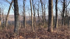 Hike the Massanutten Trail to 360-Degree Views at Kennedy Peak Near Luray