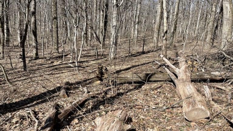 Hike to Upper Pocosin Mission at Shenandoah National Park
