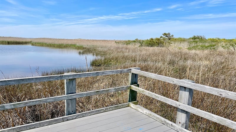 Back Bay NWR: Hike 4 Coastal Trails in Virginia Beach