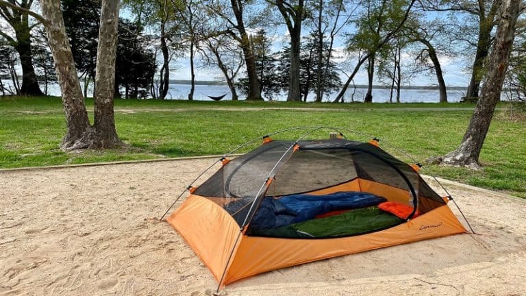 Caledon State Park: Hike the Boyd's Hole Trail Through Old Growth ...