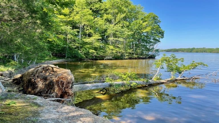 12 Lakes in Virginia for a Refreshingly Cool Hike