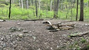 Overall Run Falls: Hike to Shenandoah's Tallest Waterfall