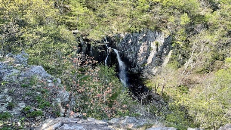 Overall Run Falls: Hike to Shenandoah's Tallest Waterfall