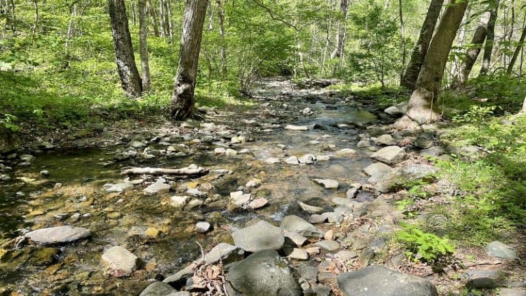 Overall Run Falls: Hike to Shenandoah's Tallest Waterfall