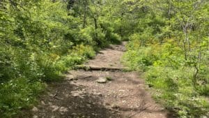 Overall Run Falls: Hike to Shenandoah's Tallest Waterfall