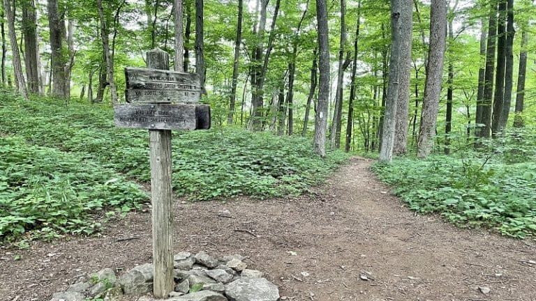 Three Ridges Hike: A Scenic Appalachian Trail Loop