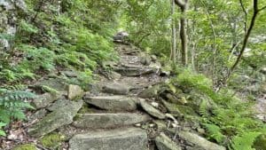 Three Ridges Hike: A Scenic Appalachian Trail Loop