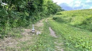 Three Ridges Hike: A Scenic Appalachian Trail Loop