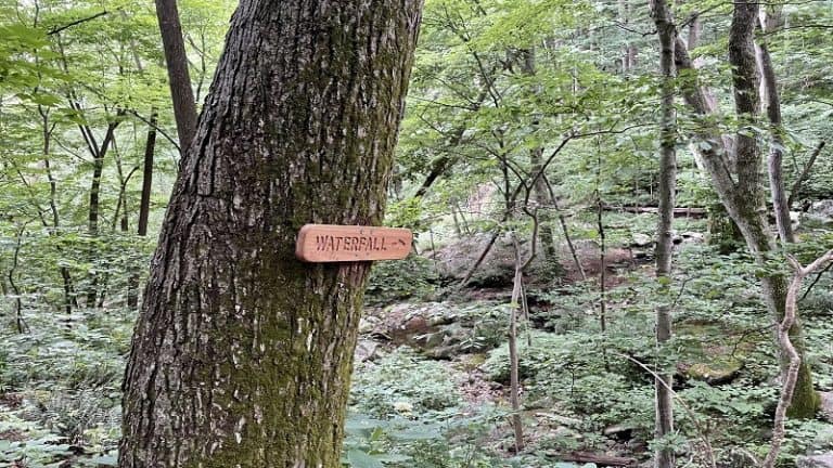 Three Ridges Hike: A Scenic Appalachian Trail Loop