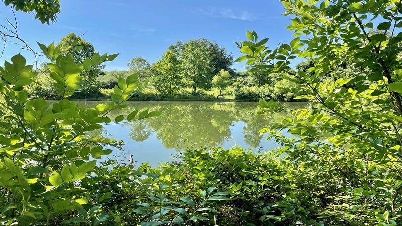 Banshee Reeks: Hike 20+ Miles of Trails in Loudoun County