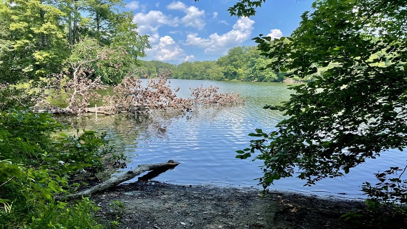 Noland Trail: A Lake Loop Hike in Newport News, VA