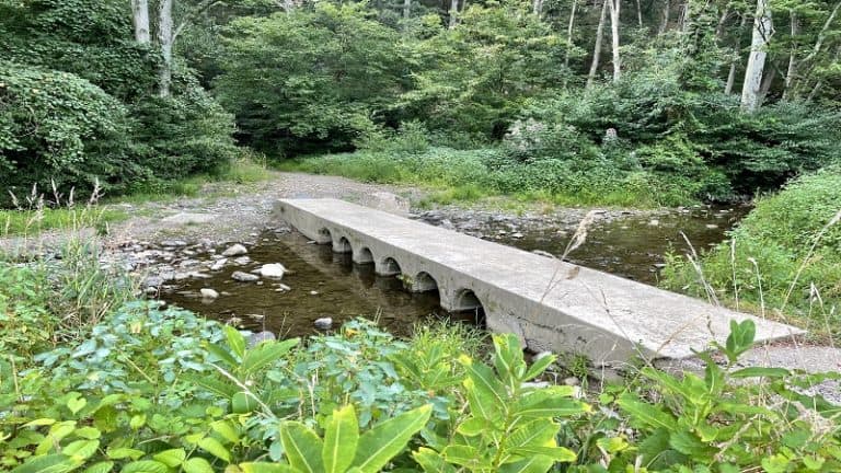 Lake Laura: A Refreshing Loop Hike Near Bryce Resort
